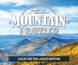 Recognizing local 'ROCK STARS' | Hartwell Sun, Hartwell, Georgia